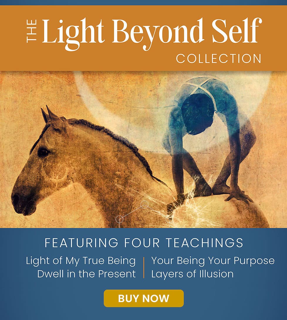 Collections | Marianne Williamson